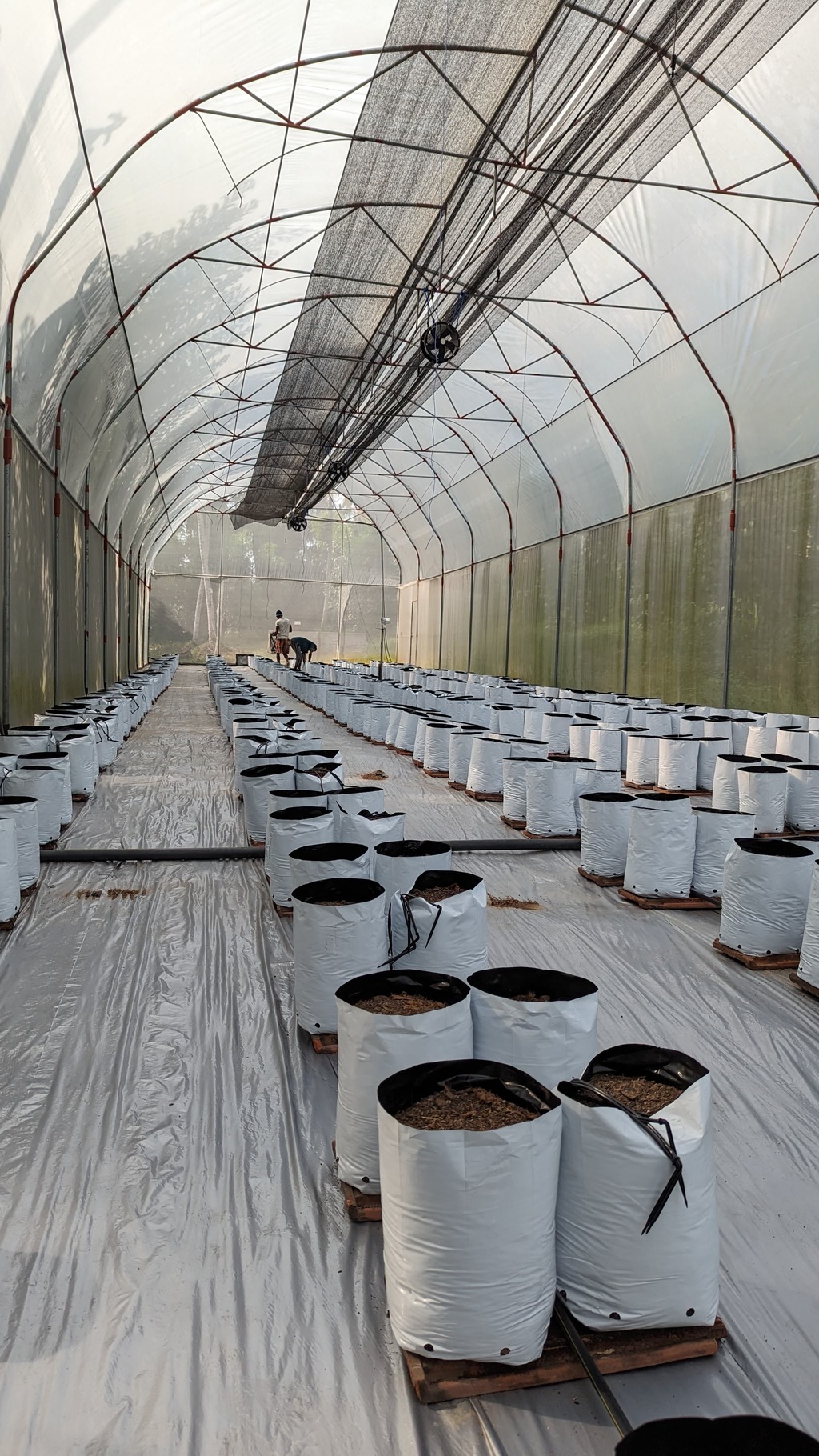 Polytunnels - potterfarm.lk