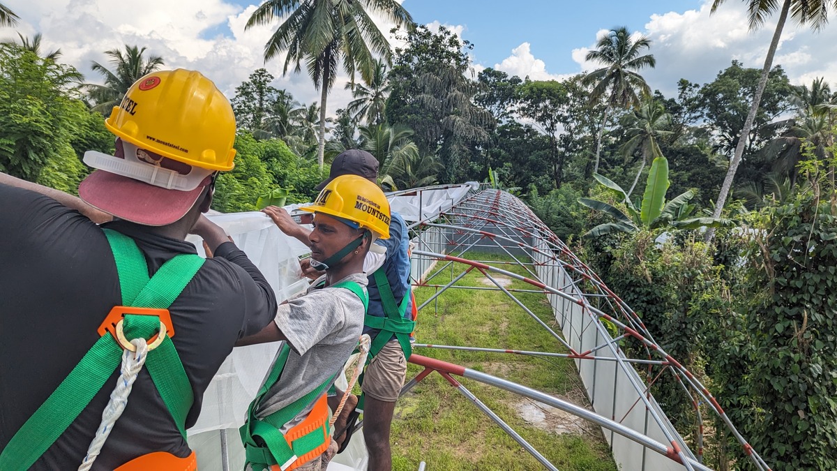 Polytunnels - potterfarm.lk