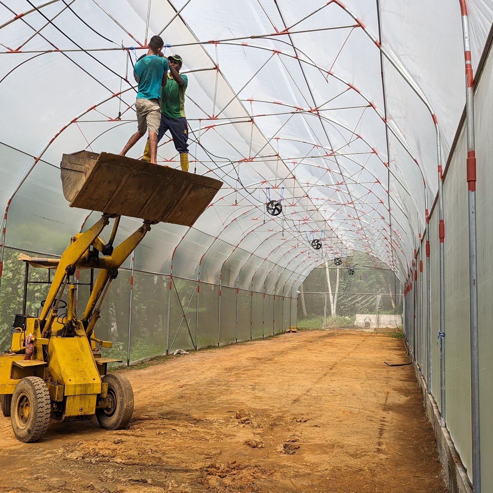 Polytunnels - potterfarm.lk