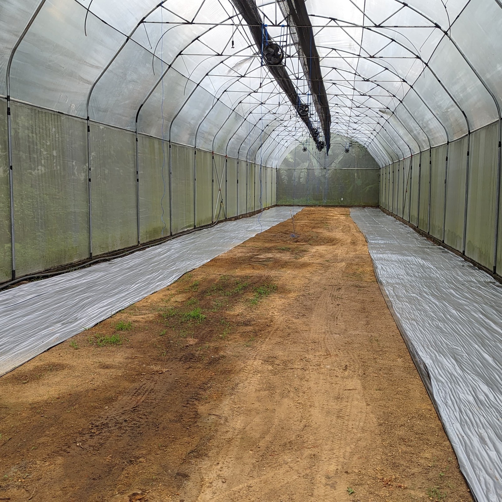 Polytunnels - potterfarm.lk